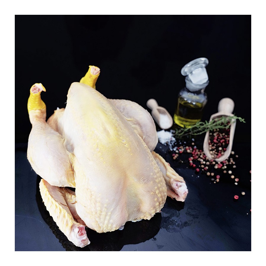 Poulet bio - Volaille